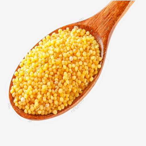 Millet • Globeexim Bridge International - Leading Exporter
